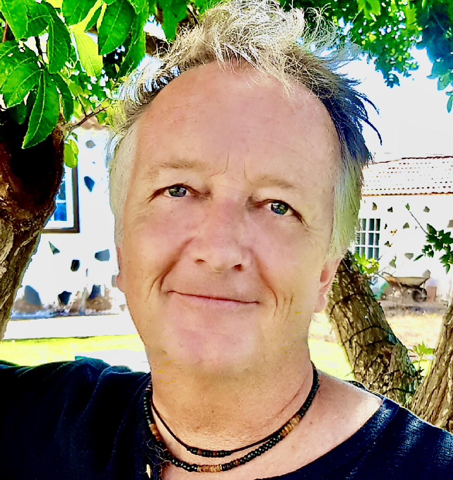 Joe Cawley - The Society of Authors